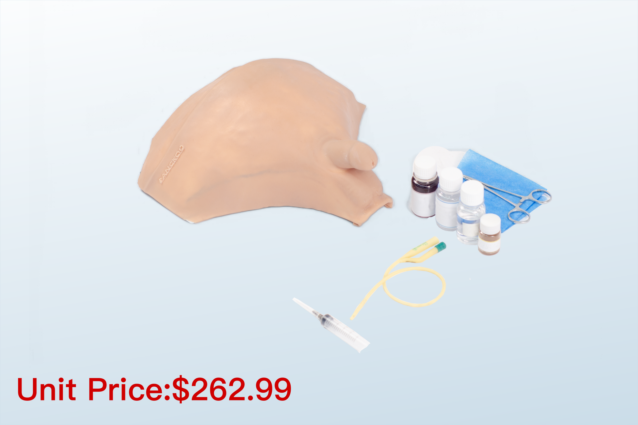 FREE SHIPPING: Decompressive Cystocentesis/Bladder Puncture Training S ...