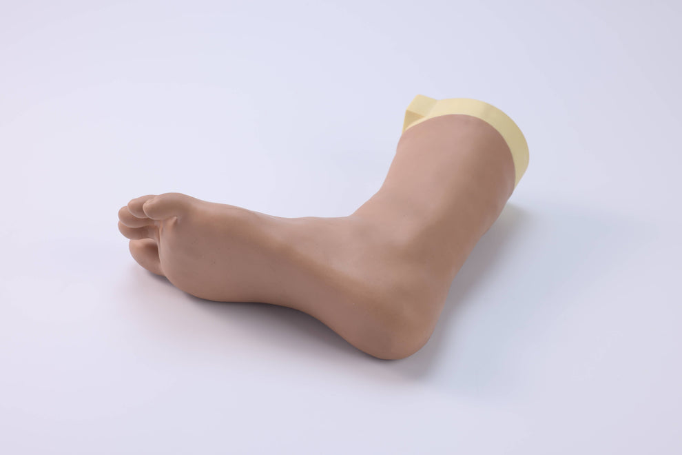 Foot and Ankle Joint Block Model – PANCKOO